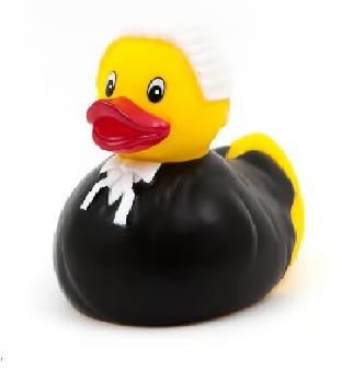 Barrister Rubber Duck